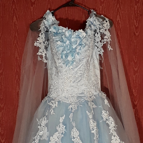 unbranded | Dresses | Prom Dress Baby Blue Princess Ball Gown Floral ...